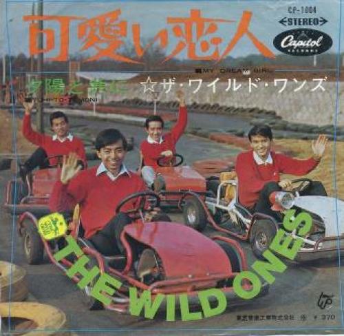 棚から掴んだ本日の1枚 ザ・ワイルド・ワンズの「夕陽と共に」 Amebe版 素敵なミュージシャン達