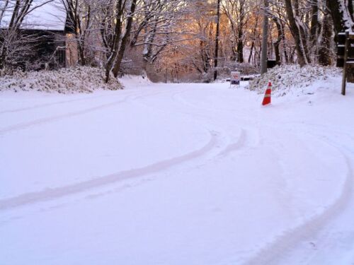★今朝の道路状況★ 那須高原の遊び人 楽天ブログ