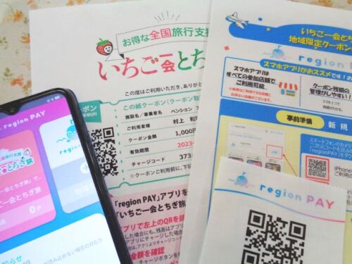 ★いちご一会とちぎ旅の地域限定クーポン：電子クーポン（region Pay）の勉強会★ 那須高原の遊び人 楽天ブログ