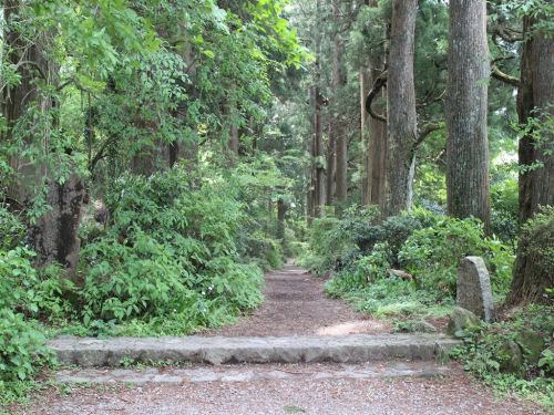 「箱根の山は 天下の険」 その4 ・・・【旧街道杉並木を行く】・格安ツァ～マイカードライブの続きですよ～o／。 酔歓ｽｲｶﾝ