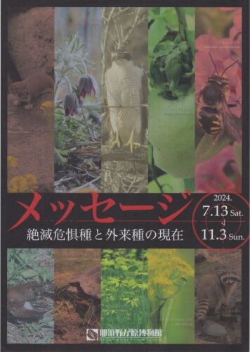 ★メッセージ 絶滅危惧種と外来種の現在★ 那須高原の遊び人 楽天ブログ