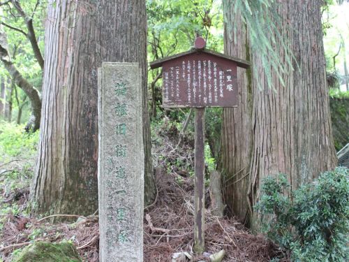「箱根の山は 天下の険」 その4 ・・・【旧街道杉並木を行く】・格安ツァ～マイカードライブの続きですよ～o／。 酔歓ｽｲｶﾝ