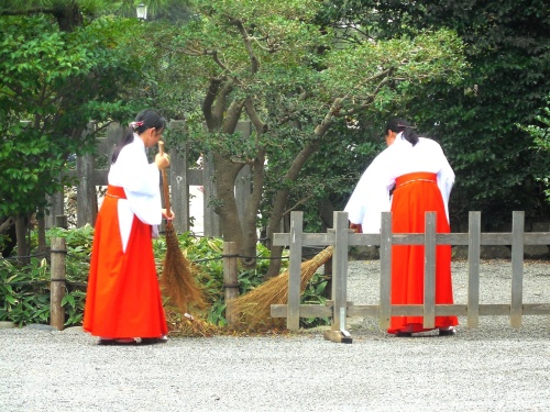 鶴岡八幡宮。巫女さんはねばり強く掃除、海藻は浜降式のおみやげ、アオサギまで現れる フッペルのグーテンモルゲンweb録 楽天ブログ