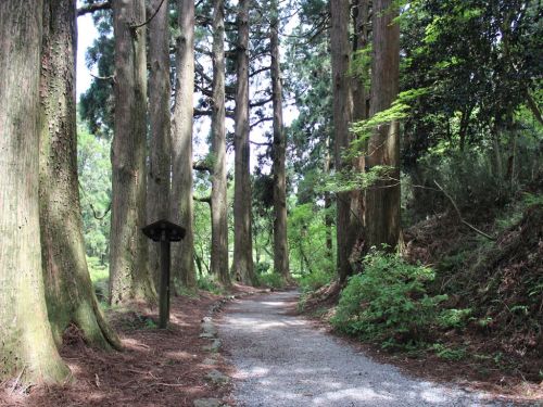 「箱根の山は 天下の険」 その4 ・・・【旧街道杉並木を行く】・格安ツァ～マイカードライブの続きですよ～o／。 酔歓ｽｲｶﾝ